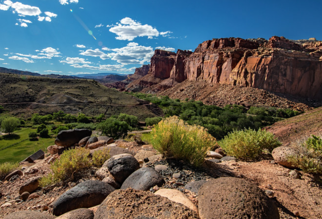 DESRI Brings Cove Mountain Solar Projects Online - sourceitright