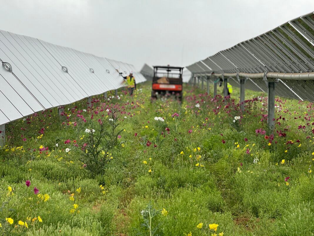 200 MW Morrow Lake Solar Project Complete – Kowatek Solar LTD